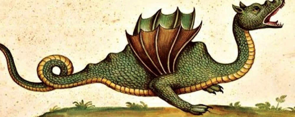 Il Gerundo | Pastoralismo alpino